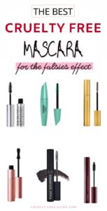 10 Best Cruelty Free Mascara for Perfect Lashes! (2023 Update)
