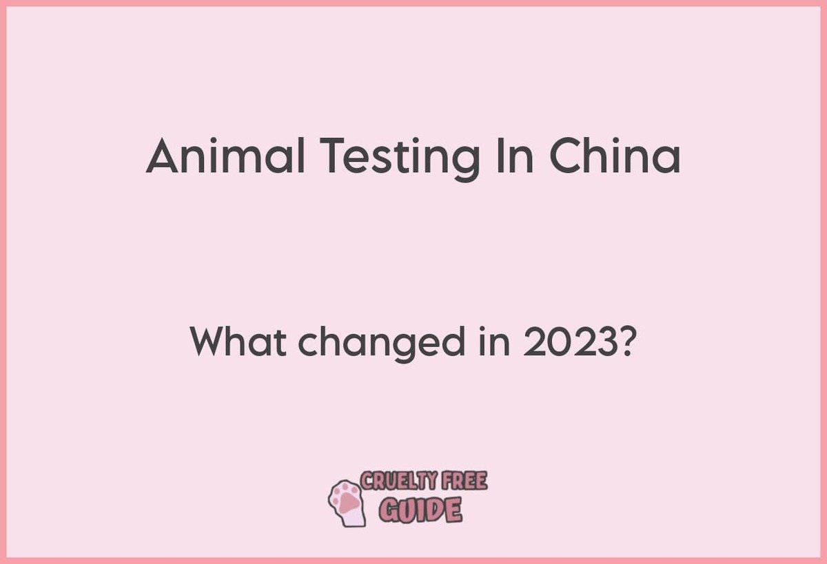Pre & Post-Market Animal Testing Still Happening in China 2023